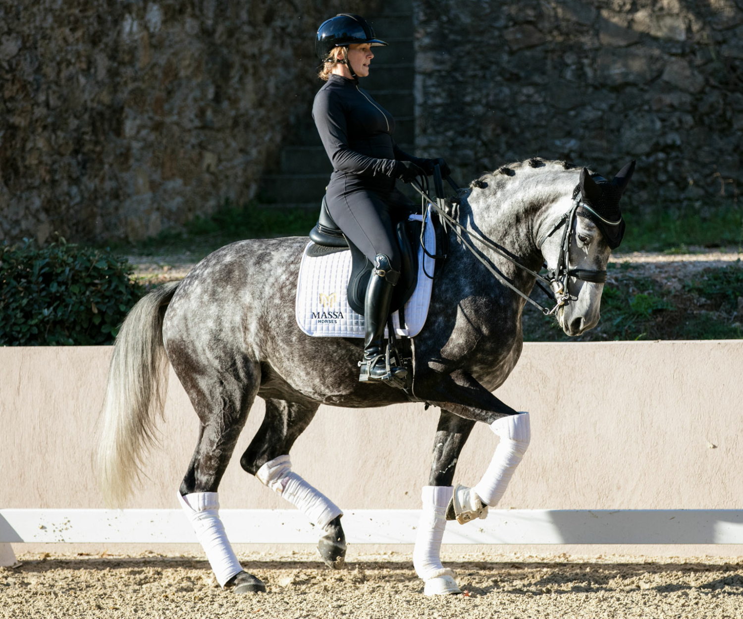 The World of Massa - Massa Horses