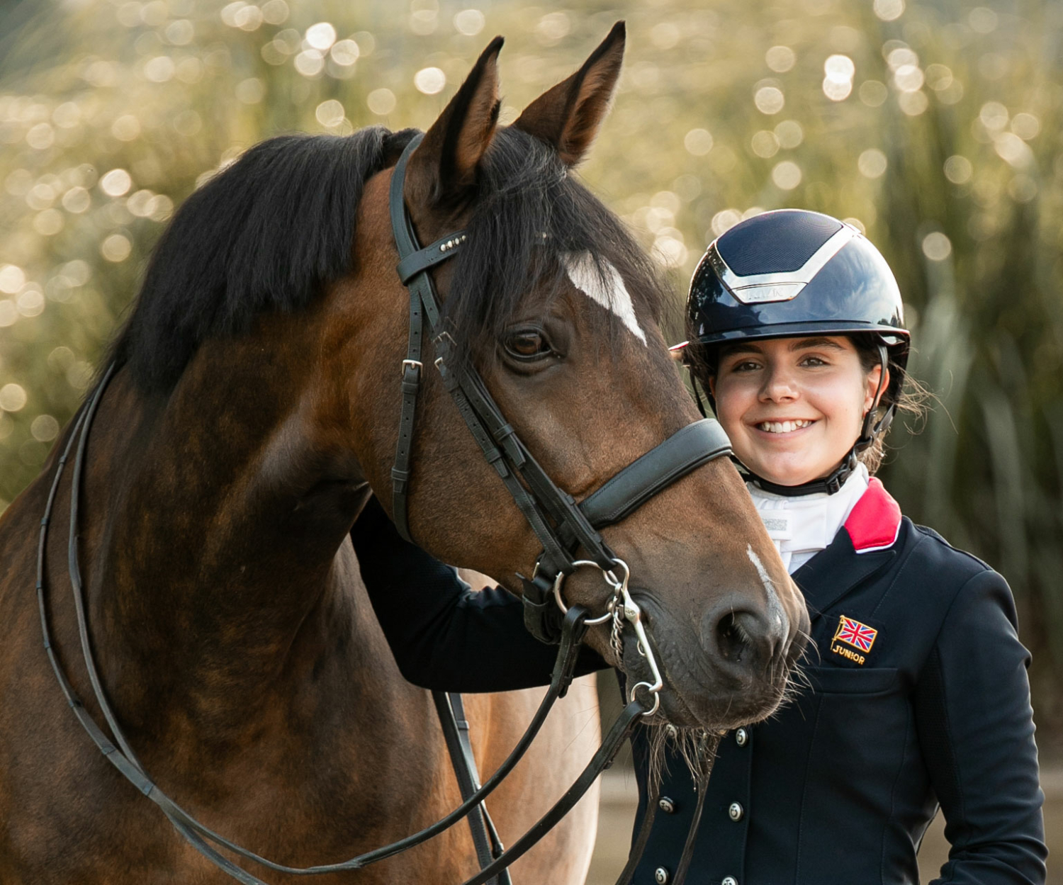 The World of Massa - Massa Horses