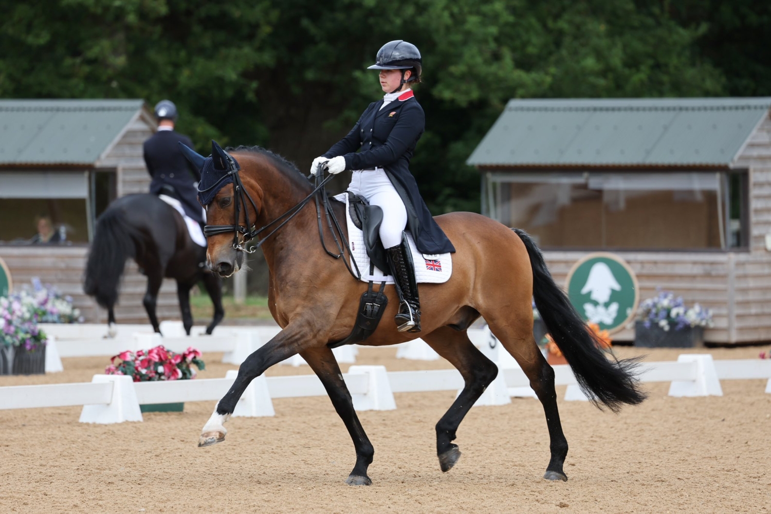 WELLINGTON RIDING - Massa Horses